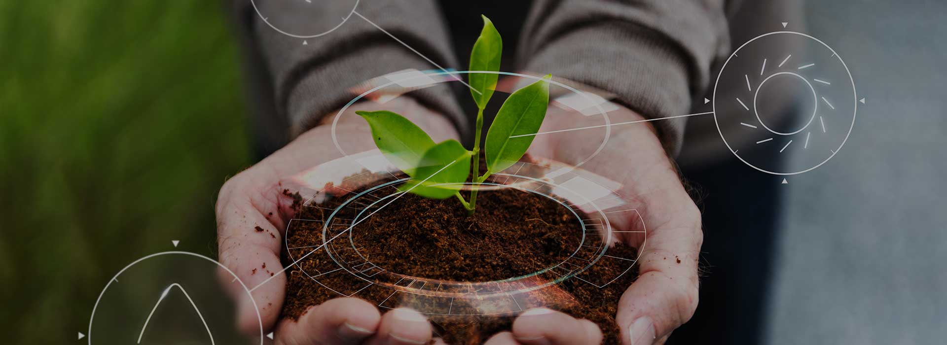 Green Quality | Venice Cold Stores & Logistics